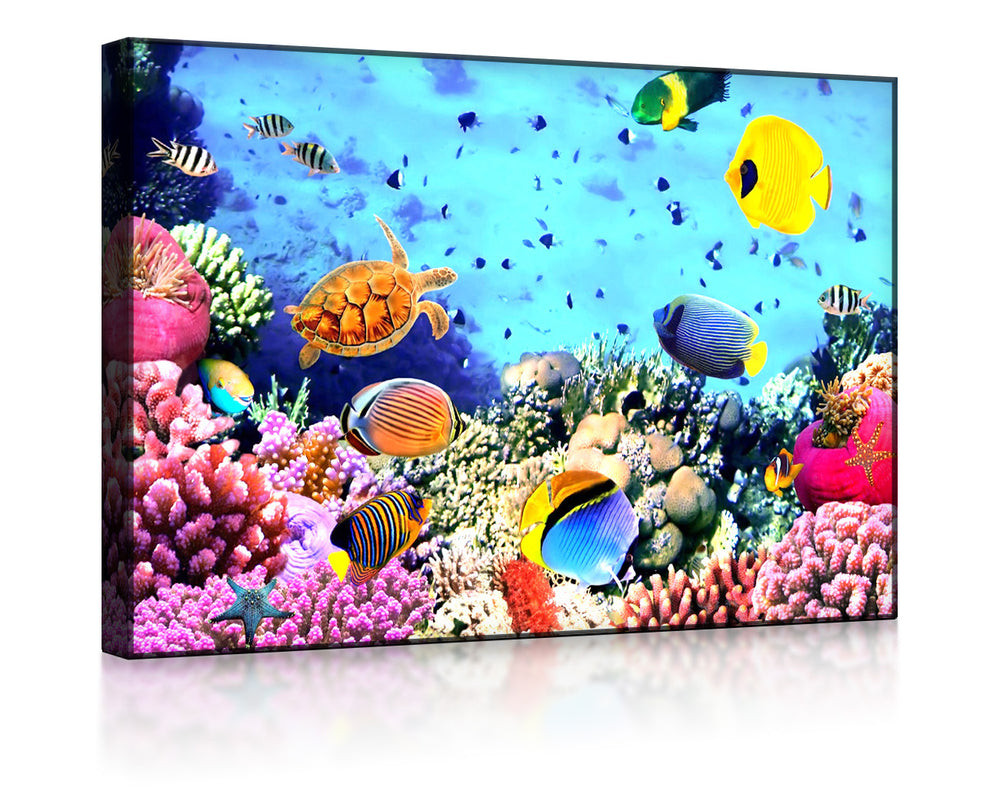 Dein Motiv als Leuchtbild - lightbox multicolor
